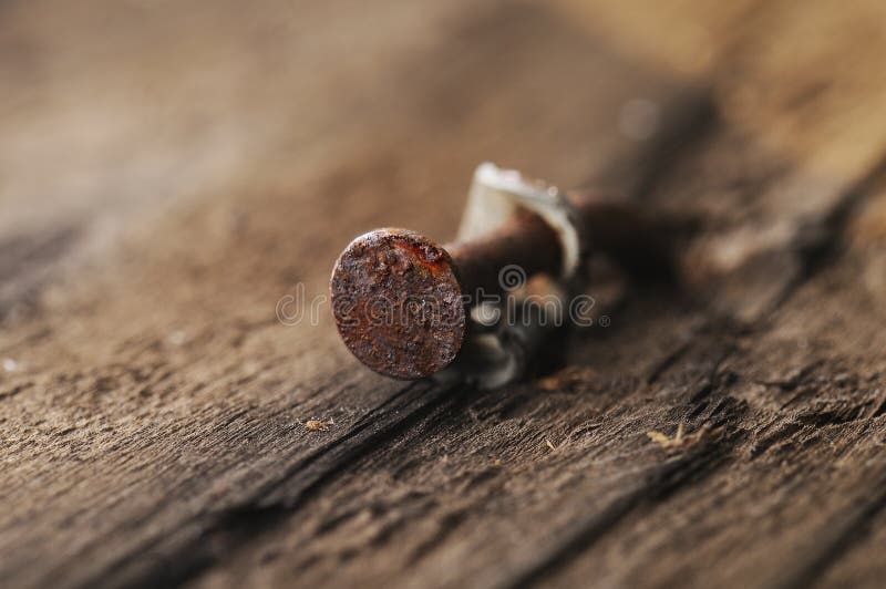 Rusty nail stock photo. Image of hardwood, concepts, nail - 61020162