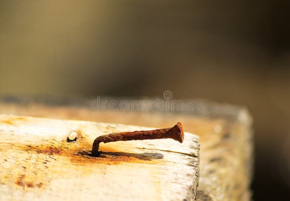Rusty nail stock image. Image of corroded, wooden, rust - 5335707