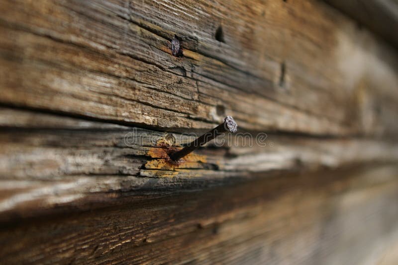 Rusty Nail stock photo. Image of wooden, stable, sharpness - 989162