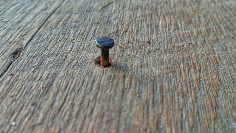 Rusty Nail Appears on the Surface of the Wooden Floor. Nail Head is ...