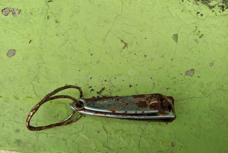 Rusty Nail Clipper on Green Stock Photo - Image of fish, green: 325458432