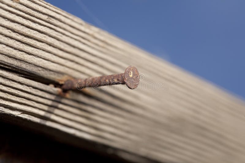 Rusty nail stock photo. Image of hardwood, concepts, nail - 61020162