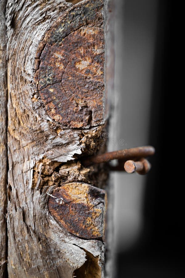 Rusty Nail in a Decaying Piece of Wood Stock Photo - Image of nail ...