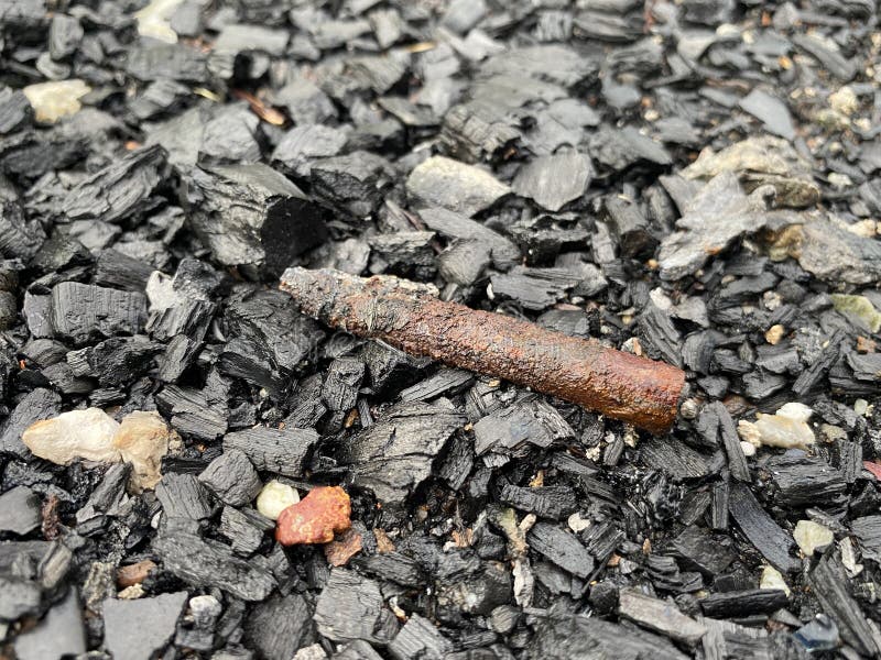 Rusty nail on the ground stock photo. Image of outdoor - 311707792