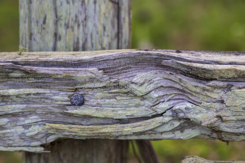 Rusty Nail Head Holding Old Fence Rail To Post in Cross Pattern Stock ...