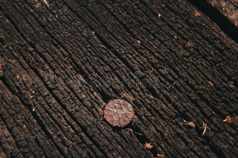 Rusty Nail in Old Decayed Wooden Floor. Background. Macro Stock Image ...