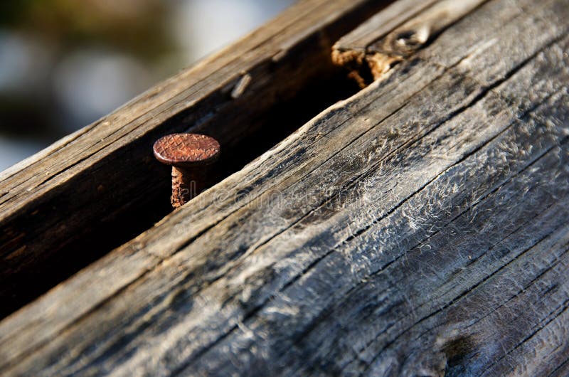 Rusty nail stock photo. Image of horizontal, focus, detail - 40150350 Rusty nail stock photo. Image of horizontal, focus, detail - 40150350