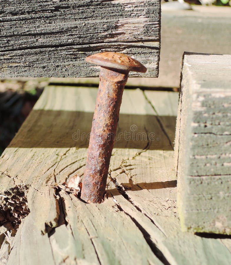 Rusty nail in old wood stock image. Image of iron, craft - 46485147