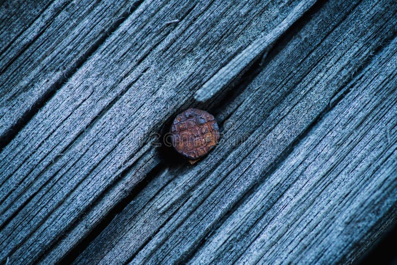 Rusty Nail in the Old Wooden Wall Stock Photo - Image of summer, blue ...