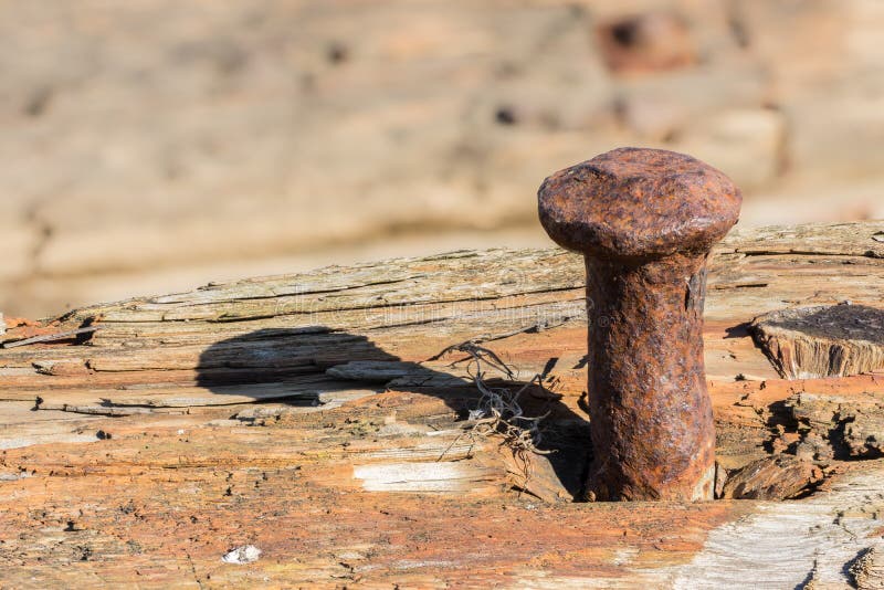 Rusty nail in rotten wood. stock photo. Image of boat - 83470288