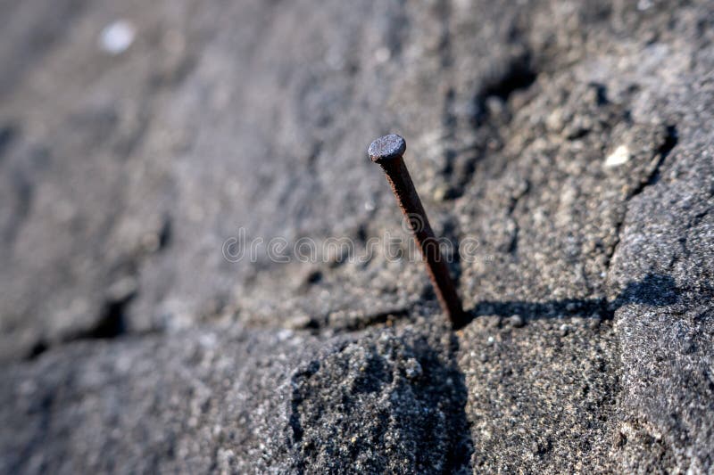 Rusty Nail Stuck in Concrete Stock Image - Image of rusty, natural ...