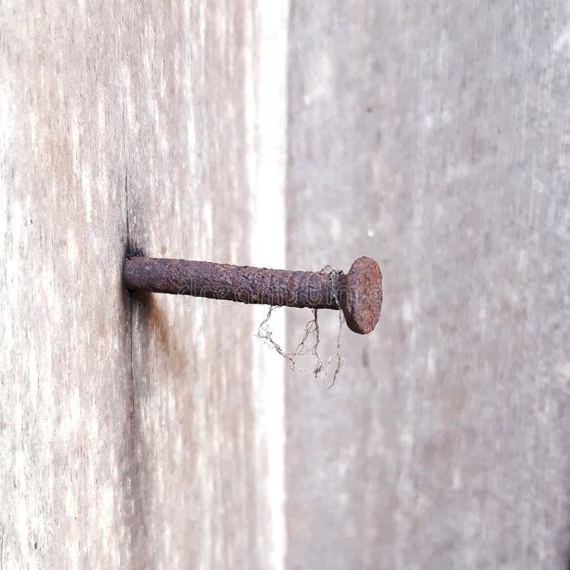 A Rusty Nail Stuck in a Wooden Wall Stock Image - Image of wooden ...