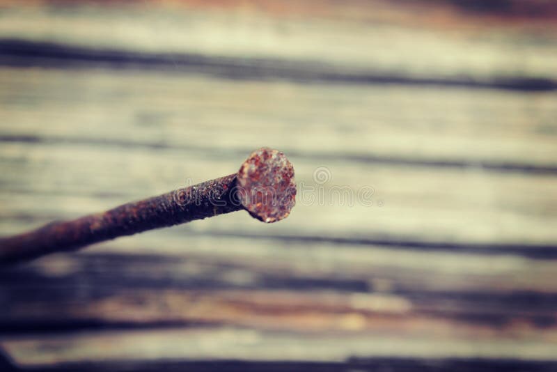 Rusty nail stock photo. Image of hardwood, concepts, nail - 61020162 Rusty nail stock photo. Image of hardwood, concepts, nail - 61020162