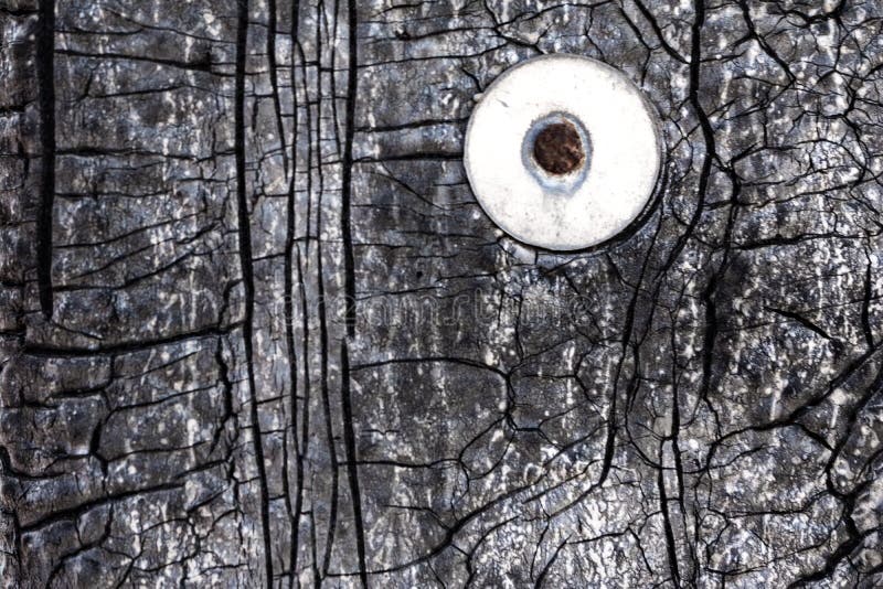 Rusty Nail with a Washer Hammered into a Wall with a Cracked ...