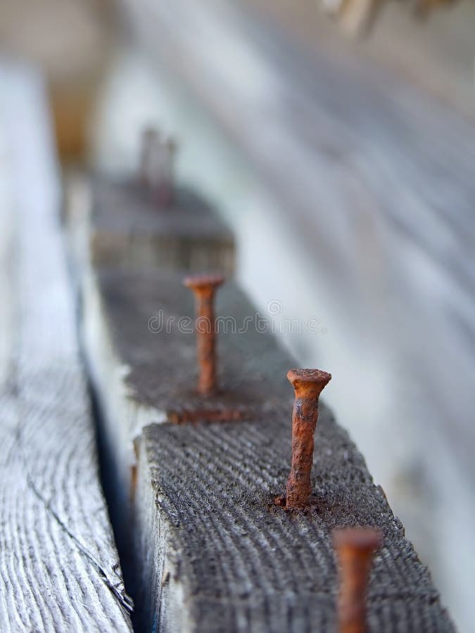 Rusty nail stock photo. Image of hardwood, concepts, nail - 61020162
