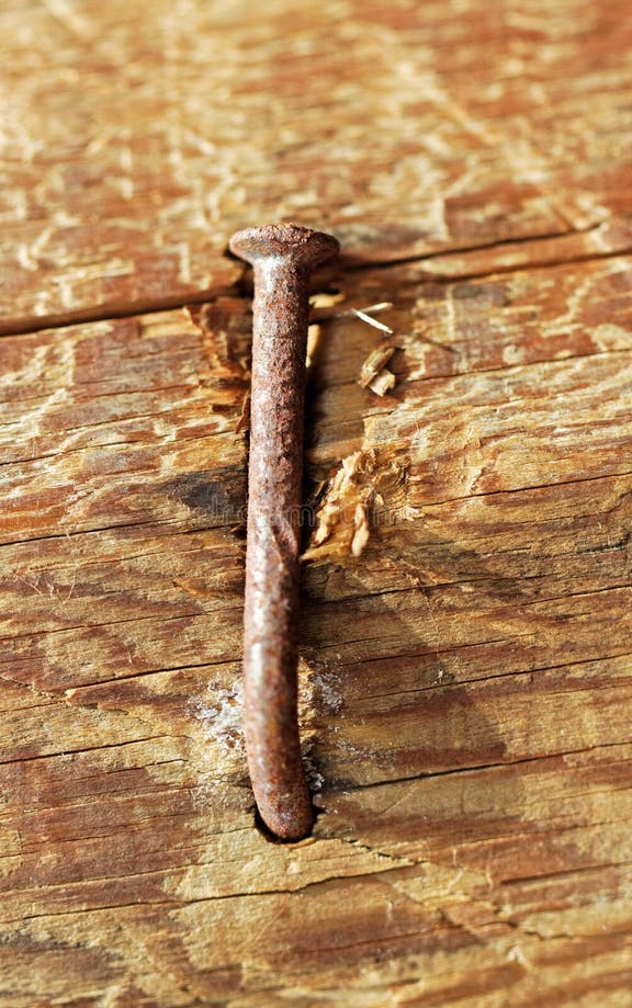 Rusty nail in wood. stock image. Image of wood, timber - 18704147