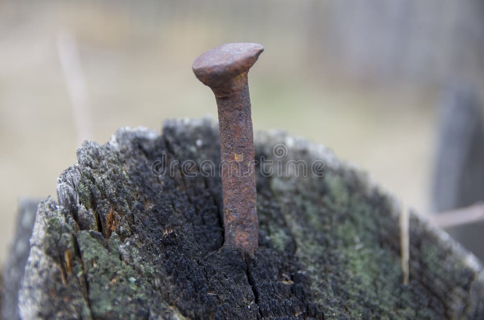 Rusty nail on a wooden log stock image. Image of grunge - 351585995