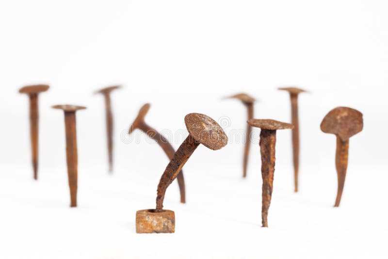 Rusty Nails stock image. Image of cracked, horizontal - 27359301