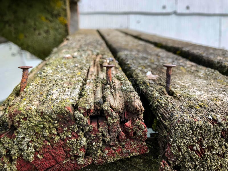 Rusty Nails in End of Mossy Decayed Board Stock Image - Image of decay ...