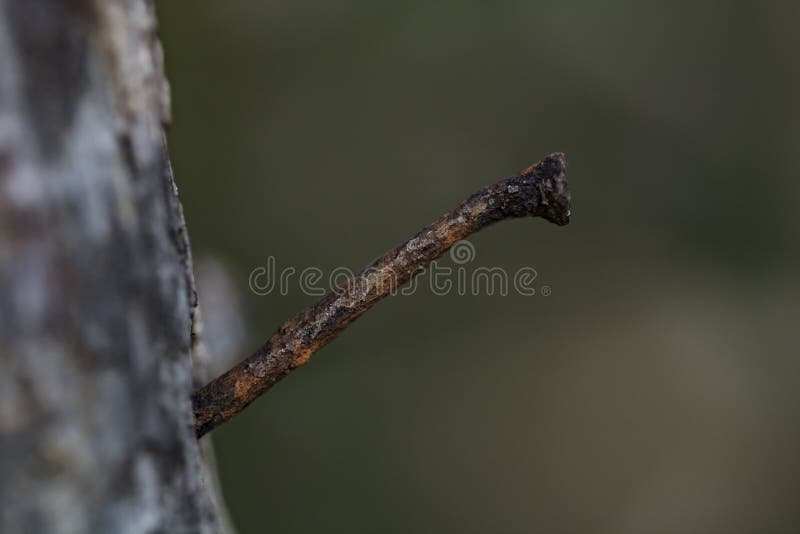 Lake Behind Farmers House Clipart Stock Photos - Free & Royalty-Free ...