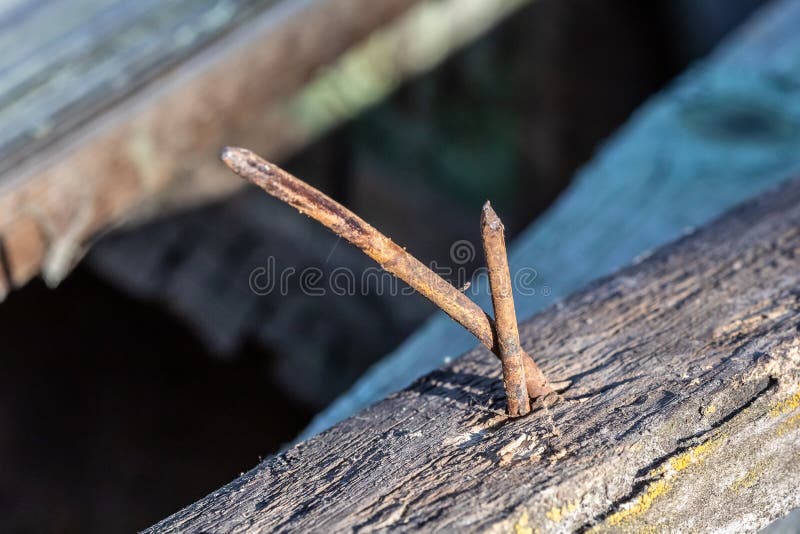 Rusty nails on old wood stock image. Image of injury - 220077797