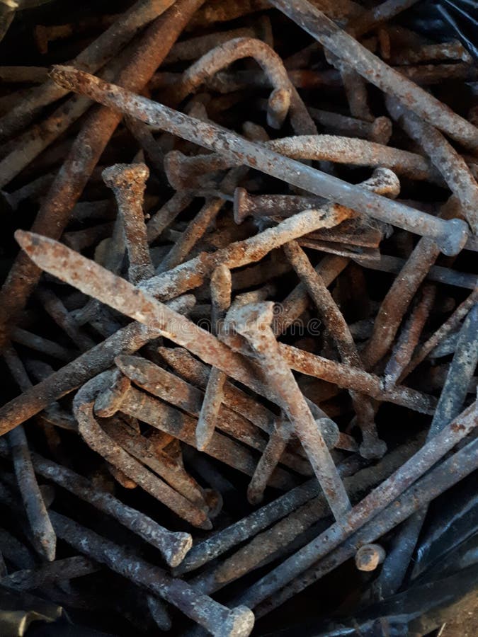Rusty Nails, Photographed Up Close. Stock Image - Image of iron ...