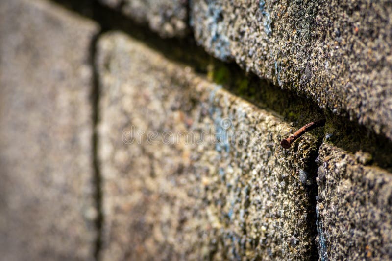 Rusty Nails Stuck in the Wall, Symbol of Lonely Stock Image - Image of ...