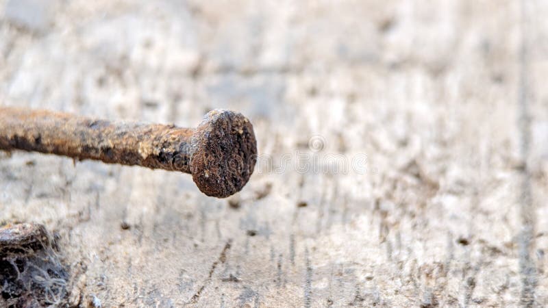 Rusty Nails on Wood Background Stock Image - Image of metallic, natural ...