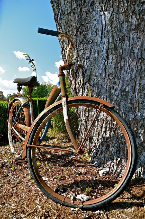 Rusty Old Bike stock photo. Image of massive, pedaling - 39068340