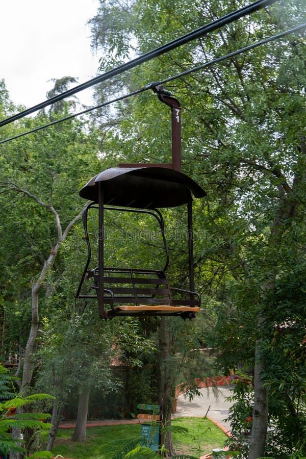 Rusty Old Cable Car in a Forest with Trees Stock Image - Image of view ...