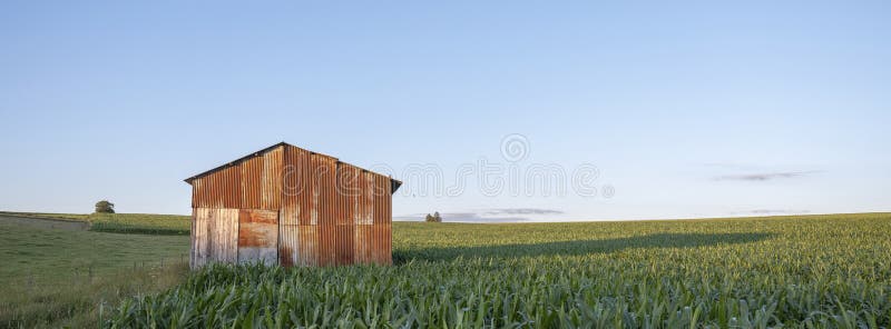 Rusty Old Iron Barn in Belgian Countryside with Grass and Corn Field ...