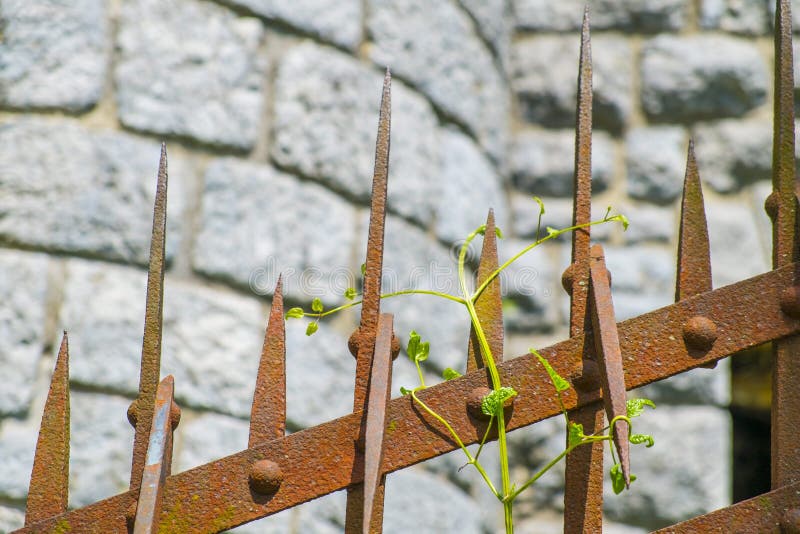 Rusty old metal fence. stock image. Image of defense - 98075759