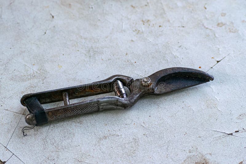 Rusty Old Pruner on the Ground Stock Image - Image of rural ...
