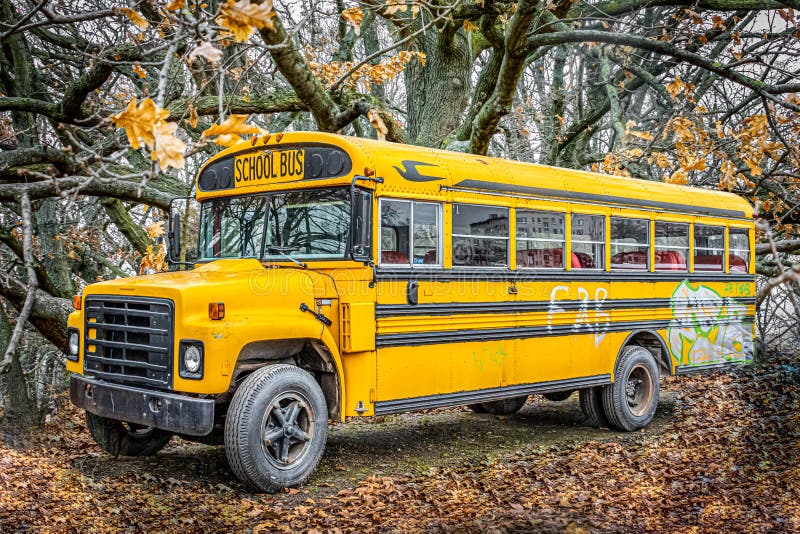A Rusty Old School Bus Under Tree Branches Stock Image - Image of ...