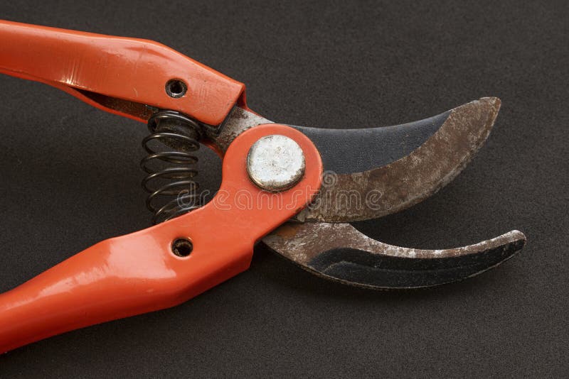 Rusty Orange Pruning Shears on Black Background Stock Photo - Image of ...