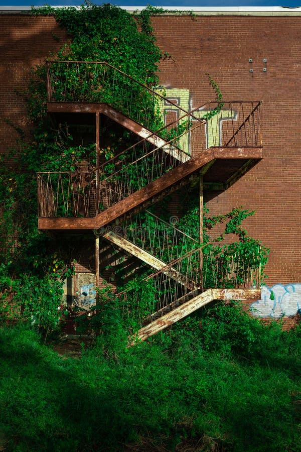 Rusty, Outdoors Stairs on an Abandoned Building Fully Covered by Green ...