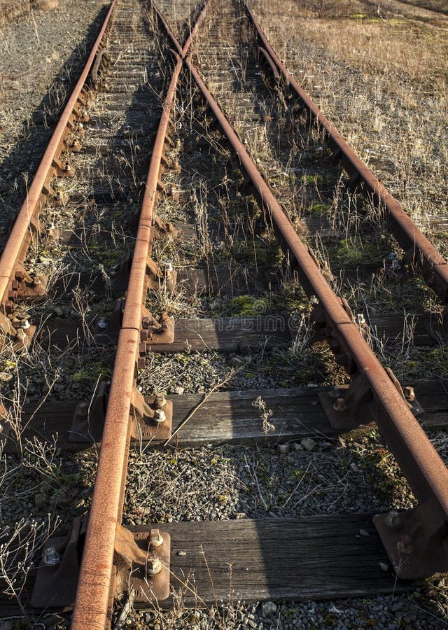 Rusty Overgrown Old Rail Tracks Stock Image - Image of grungy, empty ...