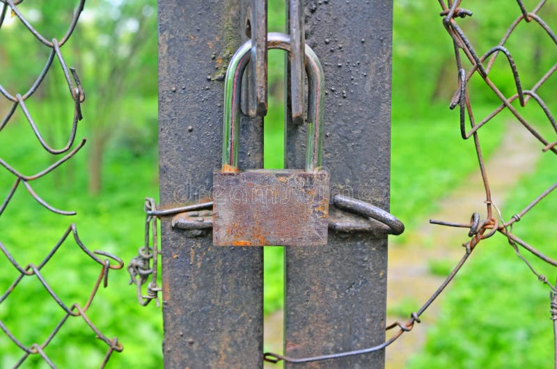 Rusty padlock at gate stock photo. Image of gray, grass - 233357952