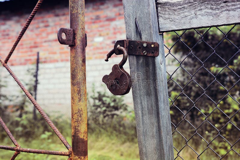 Rusty Padlock Open on Old Gate Stock Photo - Image of intrusion ...