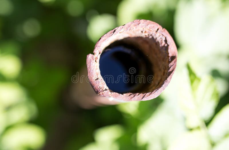 Rusty pipe on the nature stock photo. Image of green - 107690138