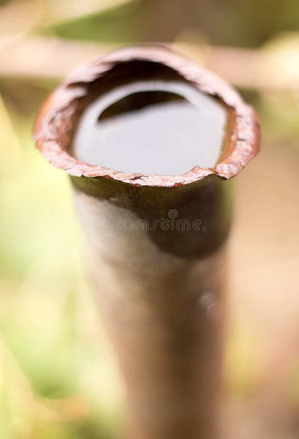 Rusty Pipe with Water in Nature Stock Photo - Image of sewage, industry ...