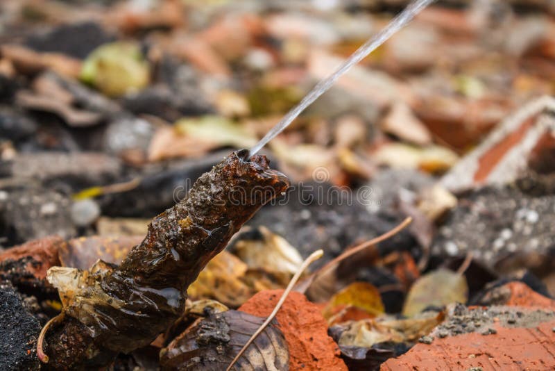 Rusty Pipe of a Water Supply System. Leak of Water through the Broken ...