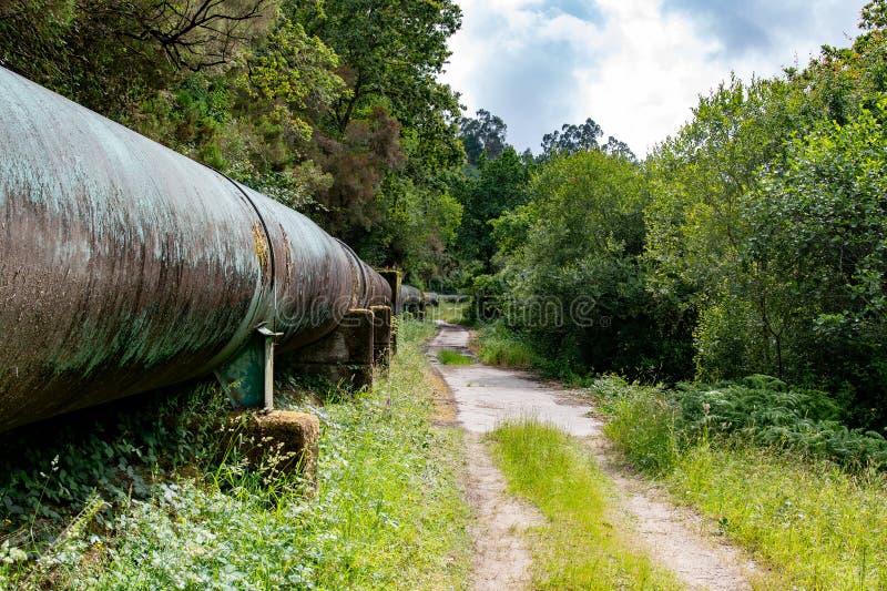 Rusty Pipeline in Overgrown Forest Stock Image - Image of parallel ...