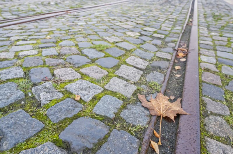 Rusty Rail with Cobblestone Pavement with Leaf and Moss Stock Photo ...