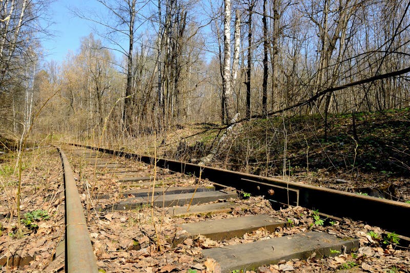 Rusty Rails of the Abandoned Railroad in the Forest Stock Photo - Image ...