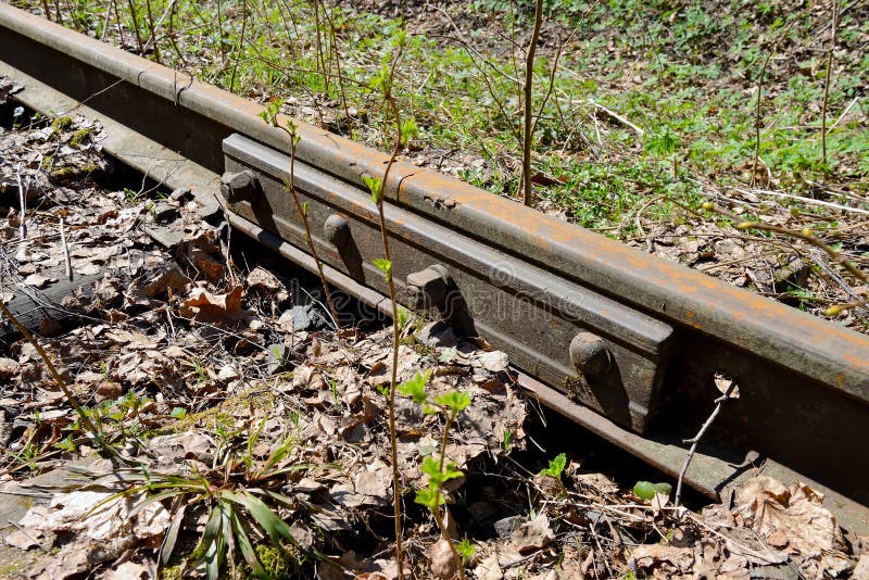 Rusty Rails of the Abandoned Railroad in the Forest Stock Photo - Image ...