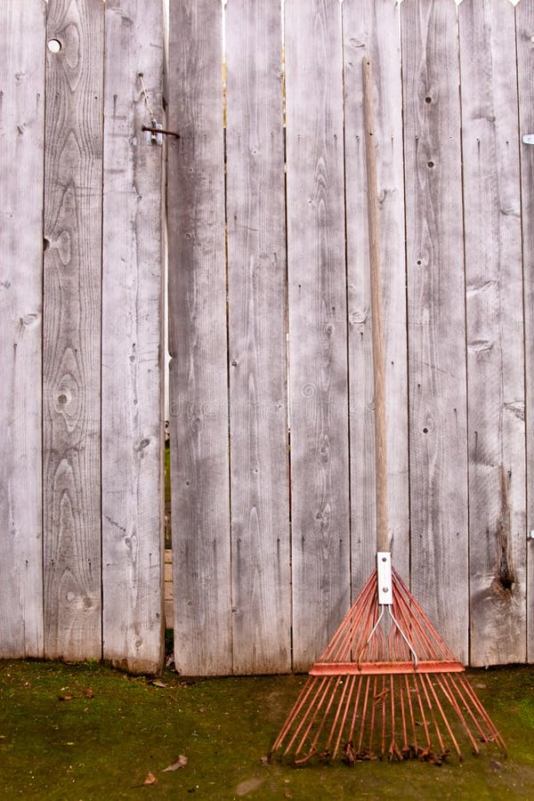 Rusty rake stock image. Image of chore, equipment, lawn - 12913003