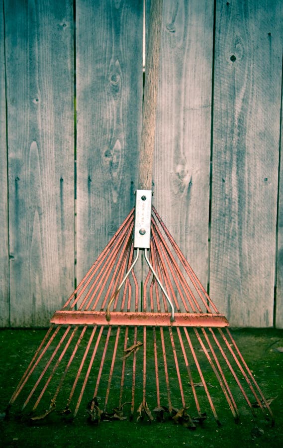 Rusty rake stock image. Image of equipment, backyard - 12947987