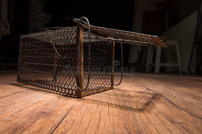 Rusty rat cage stock photo. Image of mousetrap, catch - 64028428