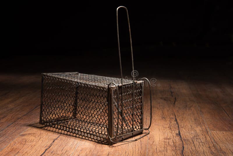 Mouse trap stock photo. Image of open, iron, black, entrapment - 64054696
